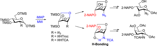 Synthesis of d-Galactosamine and d-Allosamine Derivatives via a ...