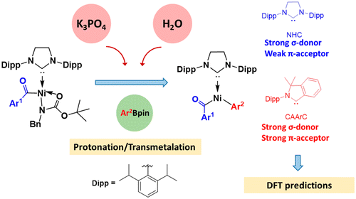 Mechanism of Nickel-Catalyzed Selective C–N Bond Activation in Suzuki ...