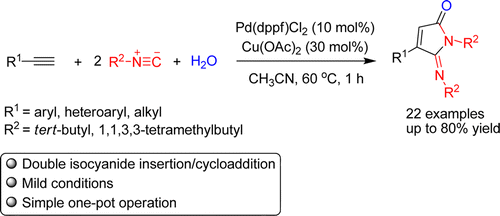 Palladium-Catalyzed Synthesis of 5-Iminopyrrolones through Isocyanide ...