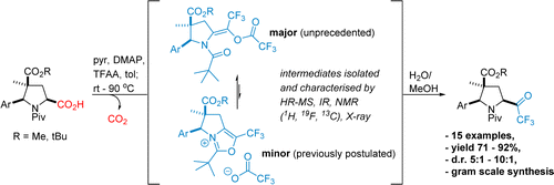 Diastereoselective Trifluoroacetylation of Highly Substituted ...