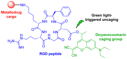A Green Light-Triggerable RGD Peptide for Photocontrolled Targeted Drug ...