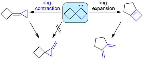 Competitive 1,2-C Atom Shifts in the Strained Carbene Spiro[3.3]hept-1 ...