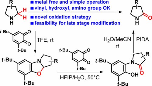 Synthesis Of γ Lactams By Mild O Benzoquinone Induced Oxidation Of