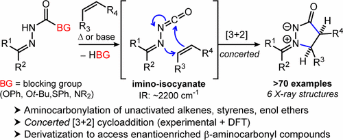 Intermolecular Aminocarbonylation of Alkenes using Concerted ...