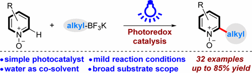 Visible-Light-Induced C2 Alkylation of Pyridine N-Oxides,The Journal of ...