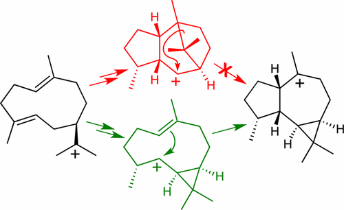 Is a 1,4-Alkyl Shift Involved in the Biosynthesis of Ledol and ...