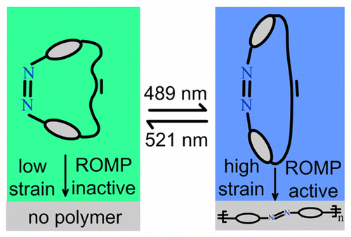 迈向时空控制的光响应性聚合物的合成：用于轻型ROMP的含偶氮苯的单体的计算设计,The Journal of Physical ...