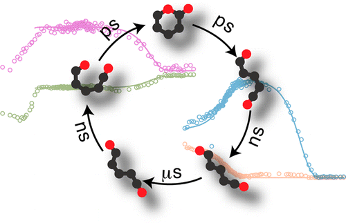 Probing Photochemically and Thermally Induced Isomerization Reactions ...