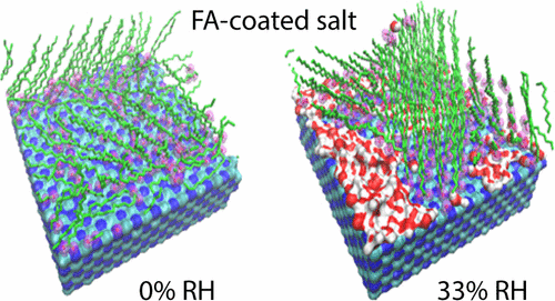 Water-Induced Organization of Palmitic Acid at the Surface of a Model ...