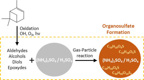 Experimental Study of the Formation of Organosulfates from α-Pinene ...