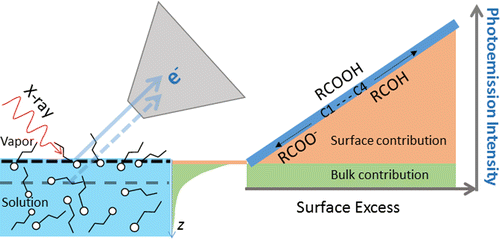 Chemical Composition and Properties of the Liquid–Vapor Interface of ...