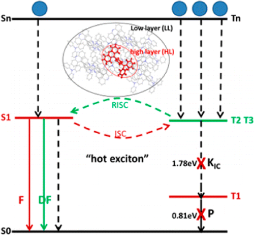 Dynamics of Excited States for Fluorescent Emitters with Hybridized ...