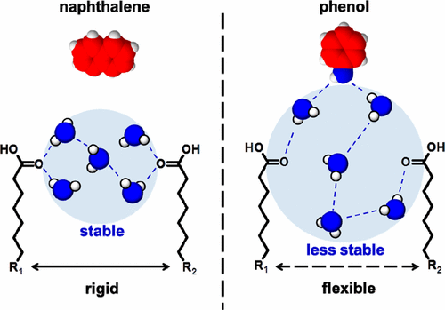 Influence of Organic Chemicals on Water Molecule Bridges in Soil ...