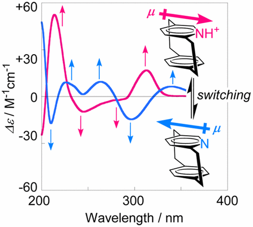 Protonation-Induced Sign Inversion of the Cotton Effects of ...