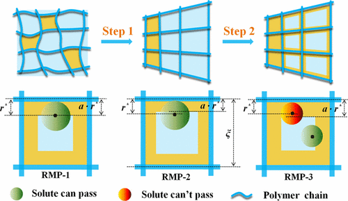 Establishment of a Physical Model for Solute Diffusion in Hydrogel ...