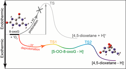 Exploration of the Singlet O2 Oxidation of 8-Oxoguanine by Guided-Ion ...