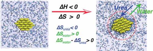 Translational Entropy and Dispersion Energy Jointly Drive the ...
