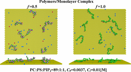 Effects of Concentration and Ionization Degree of Anchoring Cationic ...