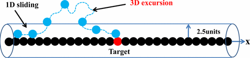 Facilitated Diffusion of Transcription Factor Proteins with Anomalous ...