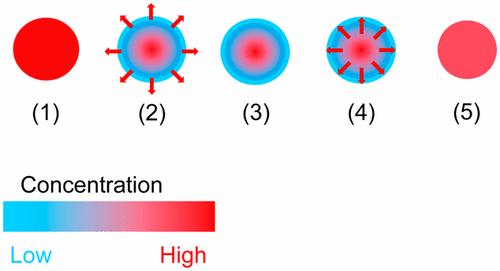 Evaporation and Subsequent Adsorption of Alcohol Molecules at Aqueous ...