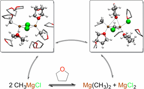 How Solvent Dynamics Controls the Schlenk Equilibrium of Grignard ...