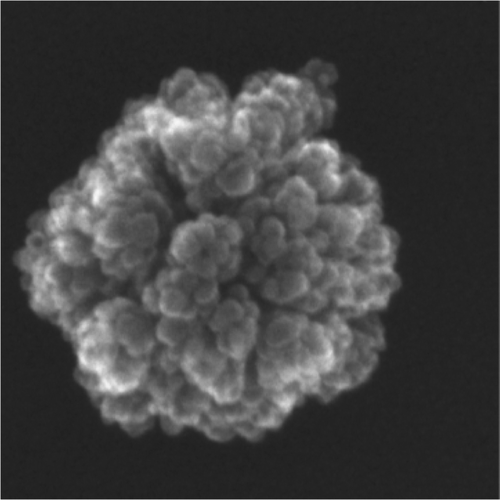 Formation and Photoluminescence of “Cauliflower” Silicon Nanoparticles ...