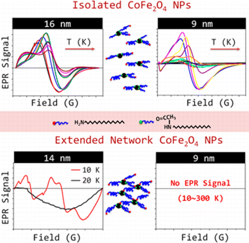 Unveiling the Physicochemical Features of CoFe2O4 Nanoparticles ...