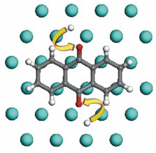 Computational Exploration of the Mechanism of the Hydrogenation Step of ...