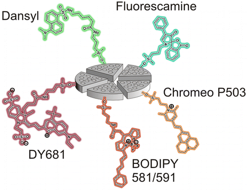 Fluorescent Nanoclays: Covalent Functionalization with Amine Reactive ...