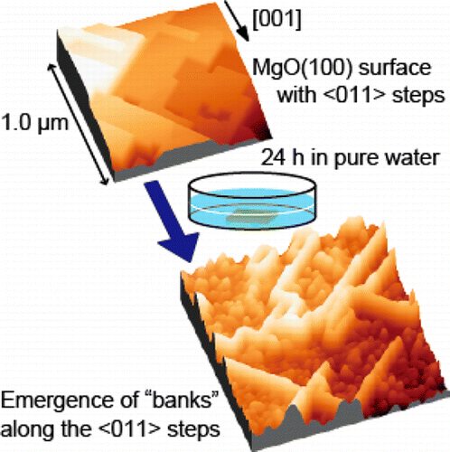 Hydration of MgO(100) Surface Promoted at 011 Steps,The Journal of ...