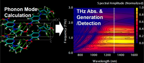 Phonon Modes of Organic Electro-Optic Molecular Crystals for Terahertz ...