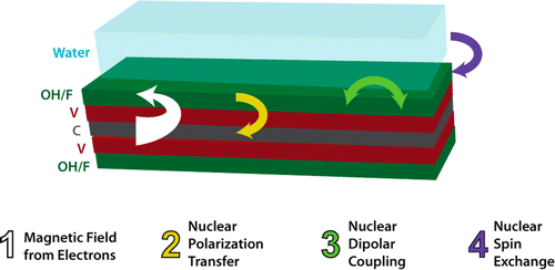 Direct Measurement of Surface Termination Groups and Their Connectivity ...