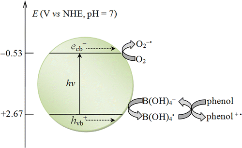 Borate-Mediated Hole Transfer from Irradiated Anatase TiO2 to Phenol in ...
