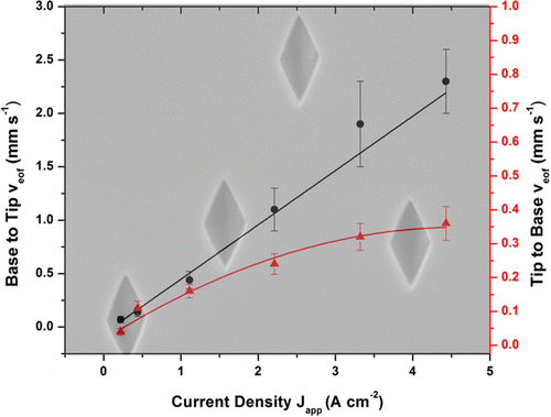 Electroosmotic Flow Rectification in Membranes with Asymmetrically ...