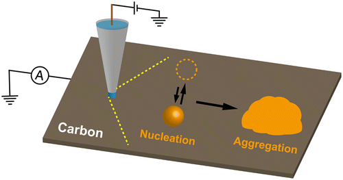 Nucleation and Aggregative Growth of Palladium Nanoparticles on Carbon ...