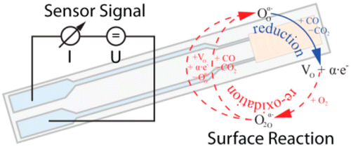 Identifying the Active Oxygen Species in SnO2 Based Gas Sensing ...
