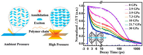 Pressure-Dependent Relaxation Dynamics of Excitons in Conjugated ...