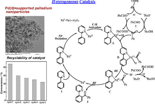 Supported Palladium Nanoparticles Catalyzed Ortho-Directed C–C Coupling ...