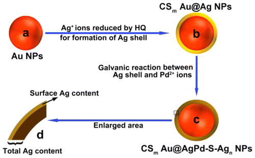 Correlation of Surface Ag Content in AgPd Shells of Ultrasmall Core ...
