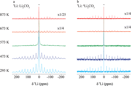 Ion Dynamics in Li2CO3 Studied by Solid-State NMR and First-Principles ...