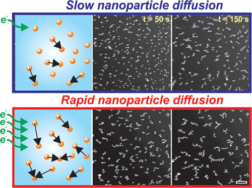 The Mechanisms for Nanoparticle Surface Diffusion and Chain Self ...