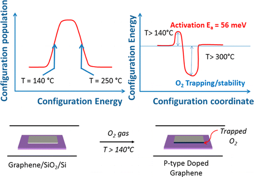 Graphene p-Type Doping and Stability by Thermal Treatments in Molecular ...