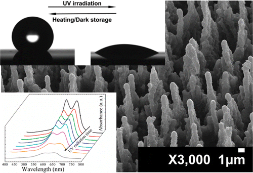 Functional Surfaces with Photocatalytic Behavior and Reversible ...