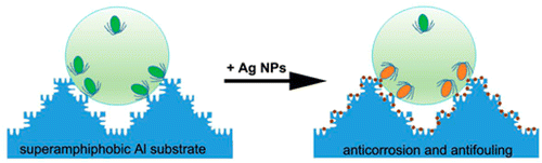 Ag Nanoparticle-Loaded Hierarchical Superamphiphobic Surface on an Al ...
