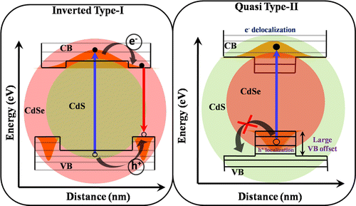 Ultrafast Charge Carrier Delocalization in CdSe/CdS Quasi-Type II and CdS/CdSe Inverted Type I ...