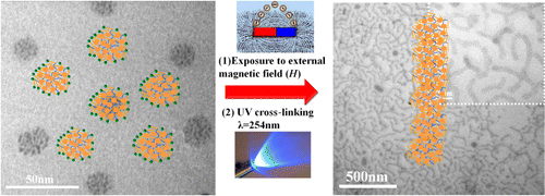From the Unimolecuclar Template of Water-Soluble Multiarm Star Brush Copolymers to One ...