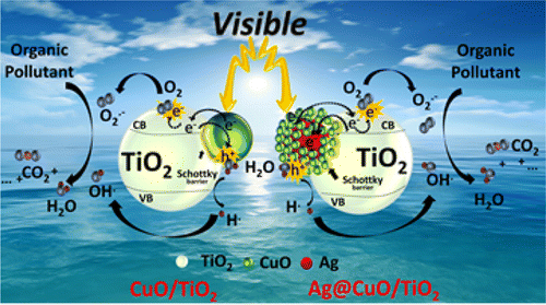 Surface Modification of TiO2 with Ag Nanoparticles and CuO Nanoclusters ...