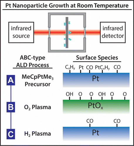 Surface Infrared Spectroscopy during Low Temperature Growth of ...