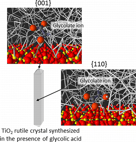 Anisotropy in Conformation and Dynamics of a Glycolate Ion Near the ...