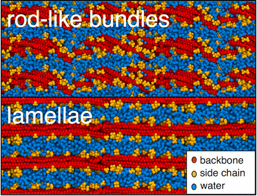 Proton Solvation and Transport in Realistic Proton Exchange Membrane ...
